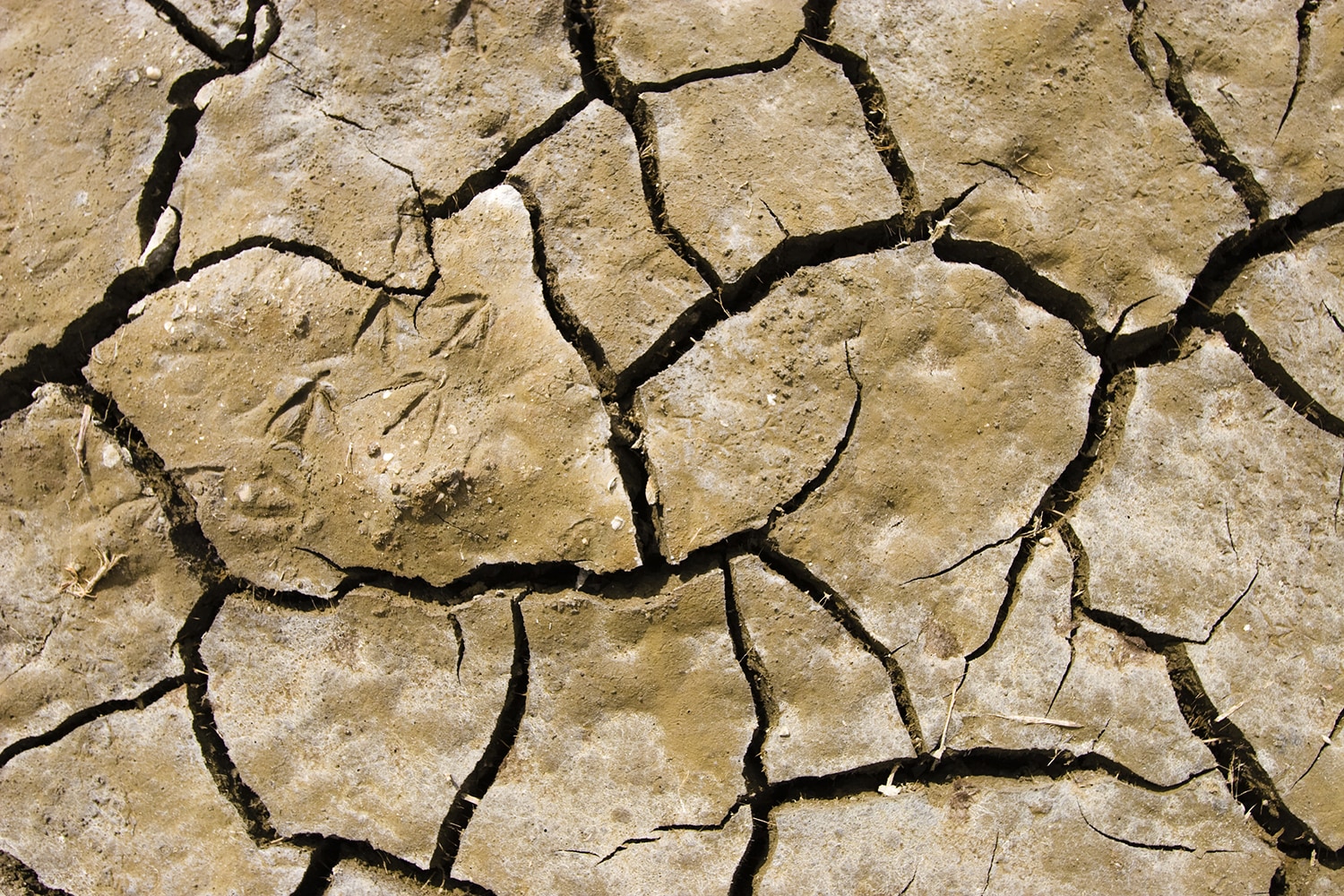 Qué es la sequedad vaginal y cómo tratarla | Navarro Viana